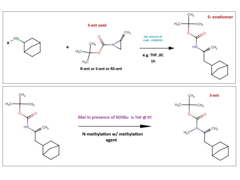 Asymmetric synthesis (R or S or RS) of t-boc amines through Grignard
